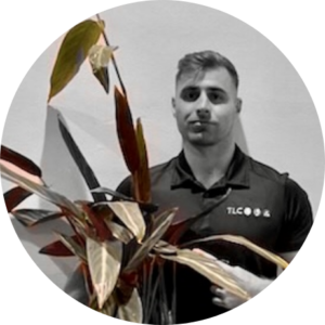 About Us – TLC Works