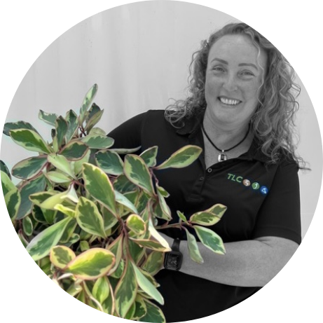 About Us – TLC Works