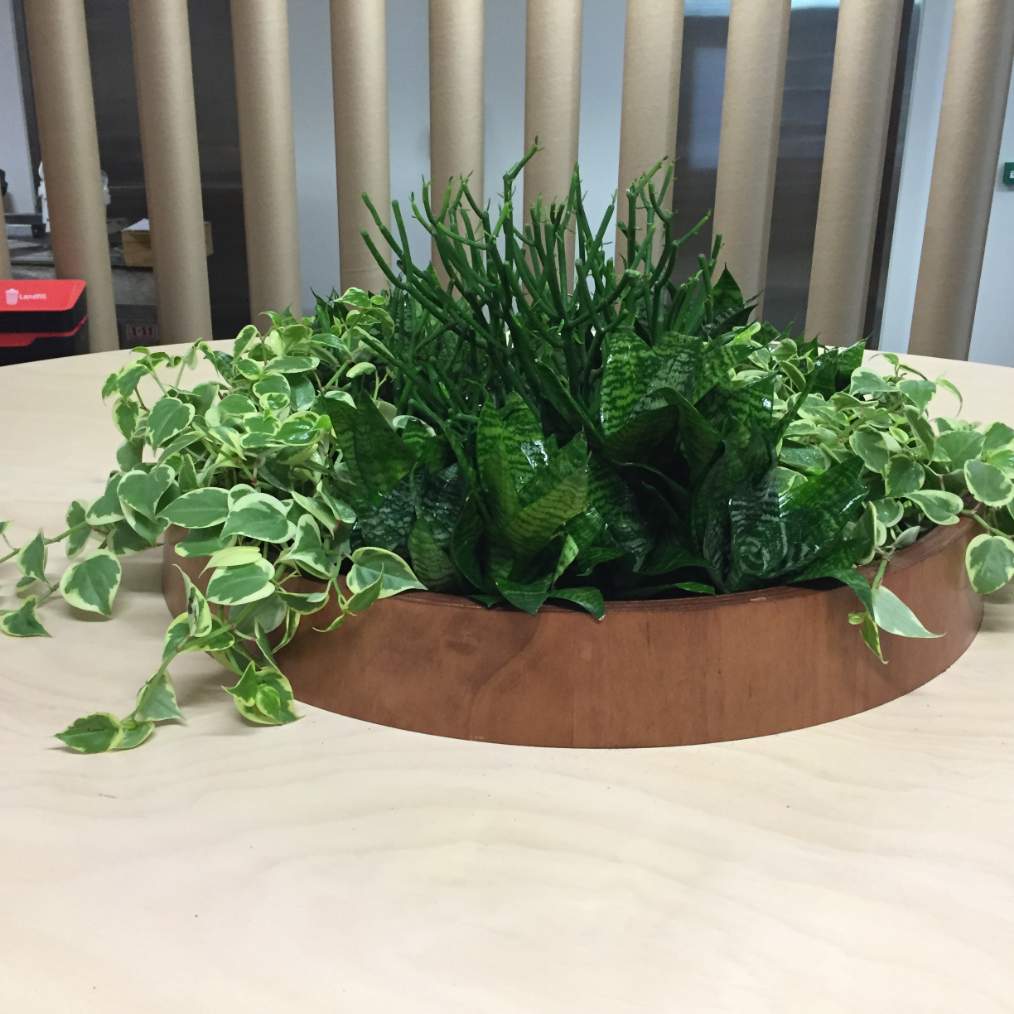 Table Planters – TLC Works